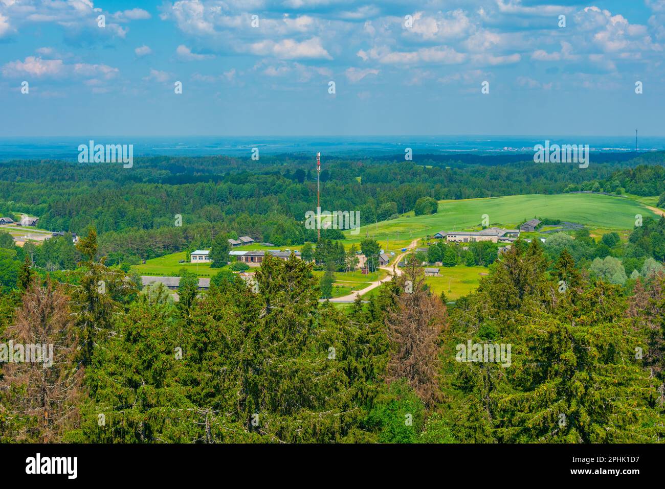 Natural landscape surrounding Suur Munamägi Tower in Estonia Stock ...