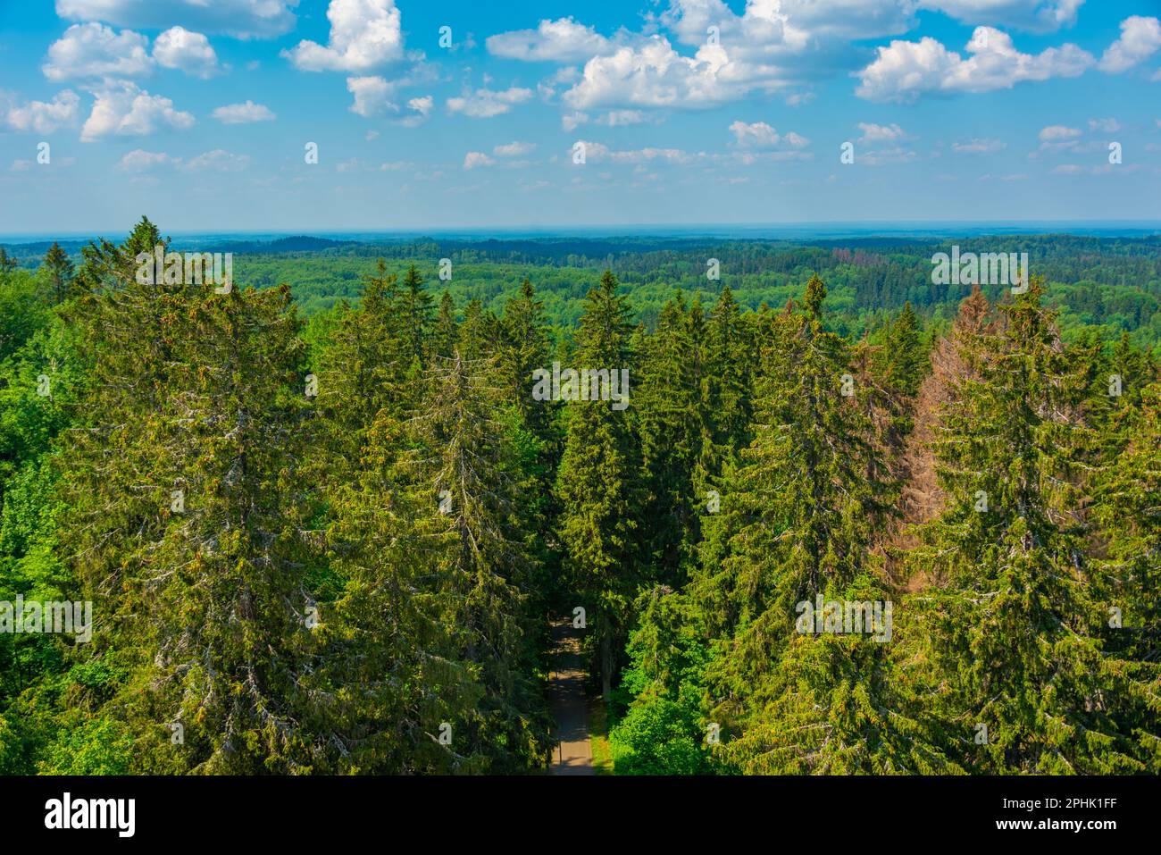 Natural landscape surrounding Suur Munamägi Tower in Estonia Stock ...