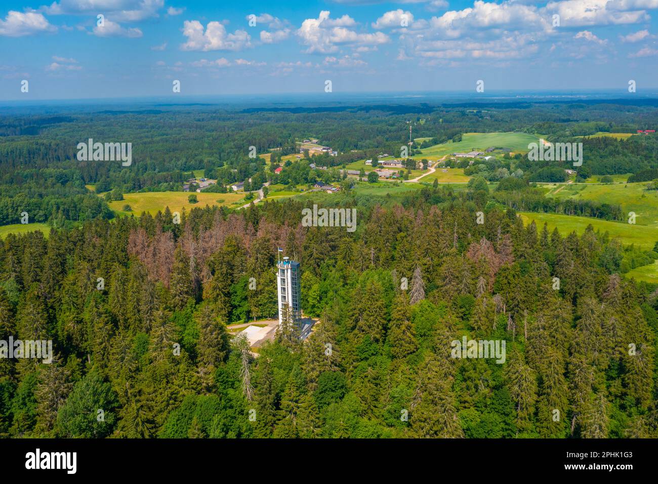 Natural landscape surrounding Suur Munamägi Tower in Estonia Stock ...