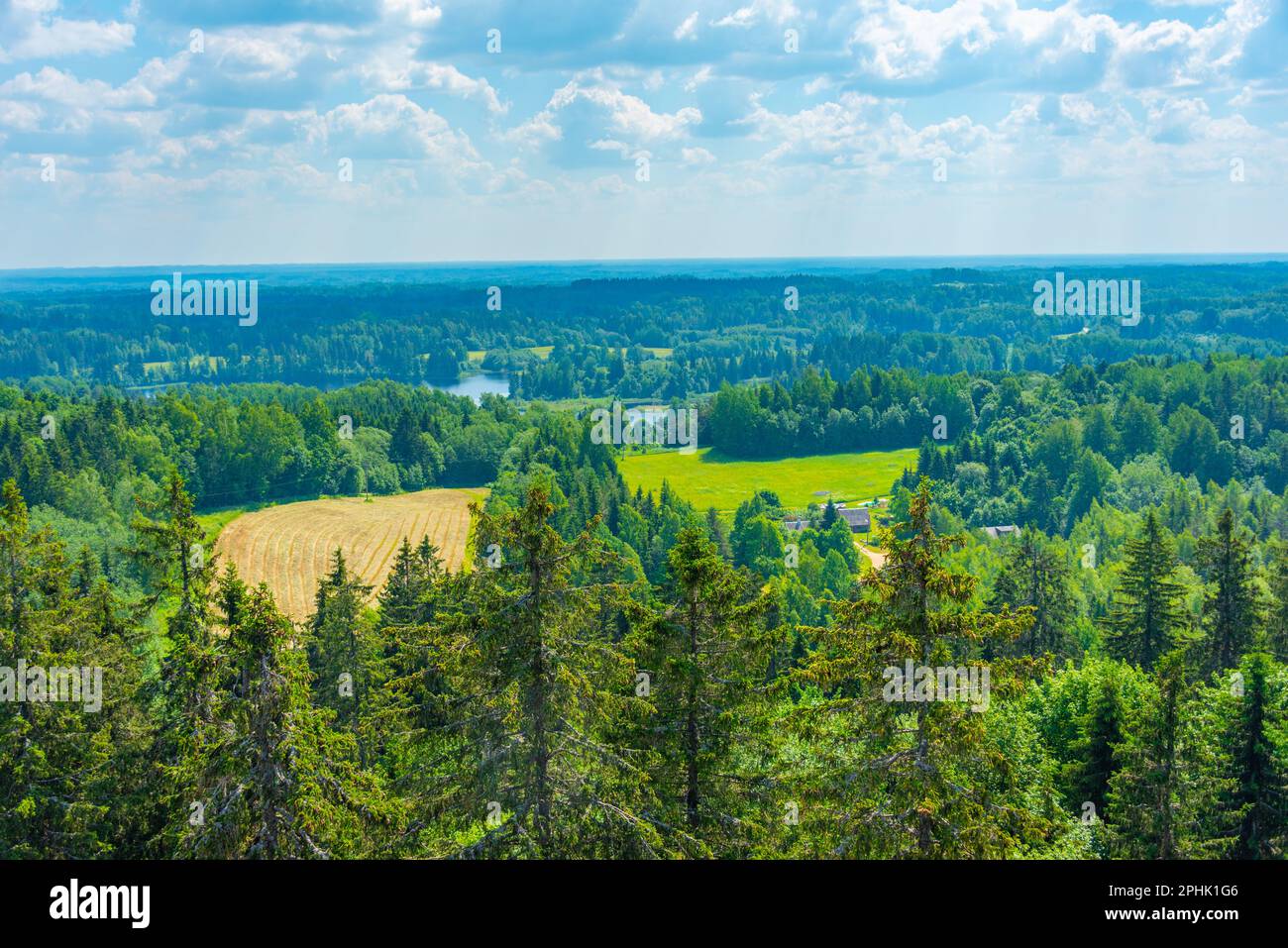 Natural landscape surrounding Suur Munamägi Tower in Estonia Stock ...