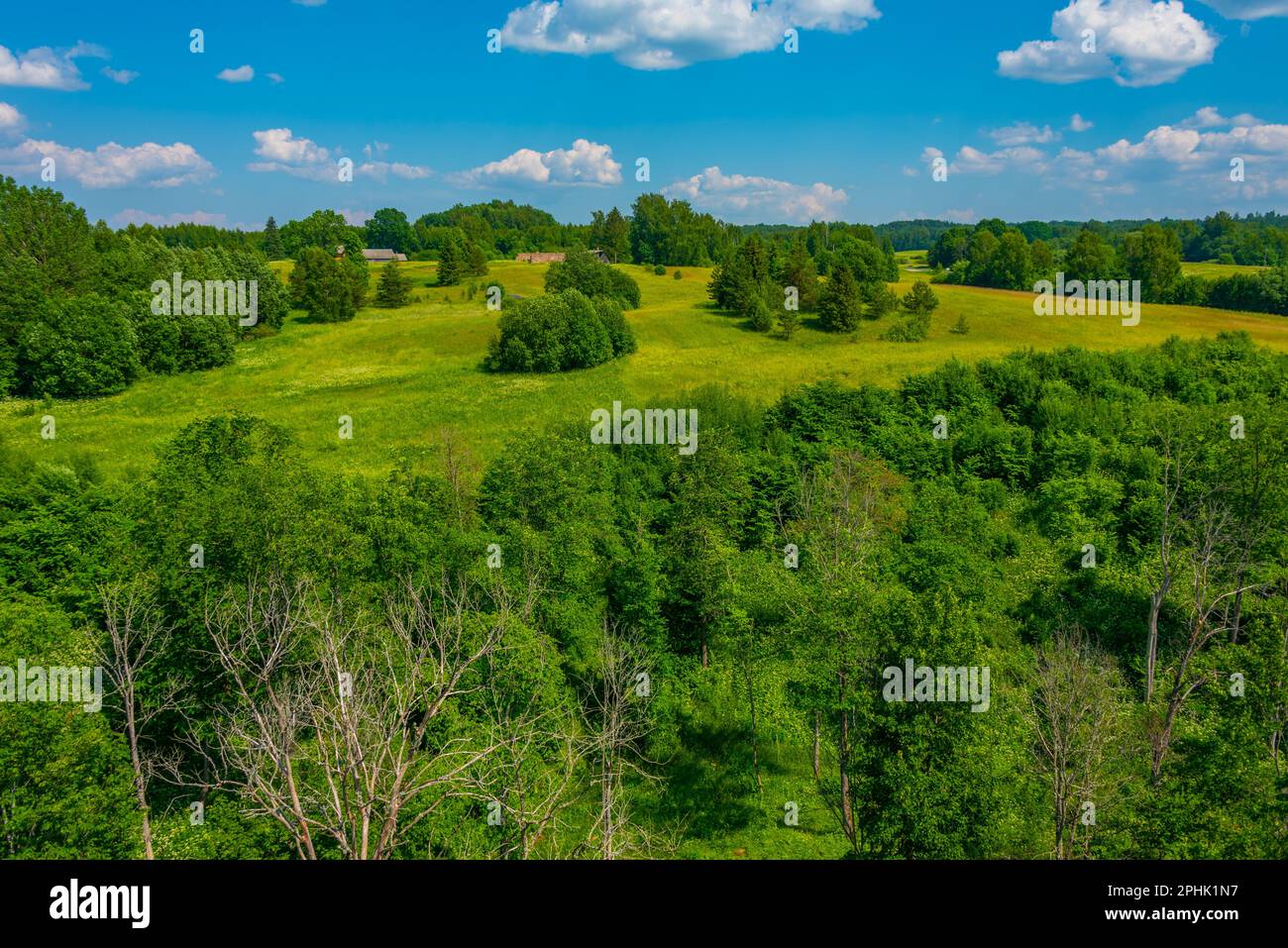 Panorama view of Setomaa region of Estonia Stock Photo - Alamy