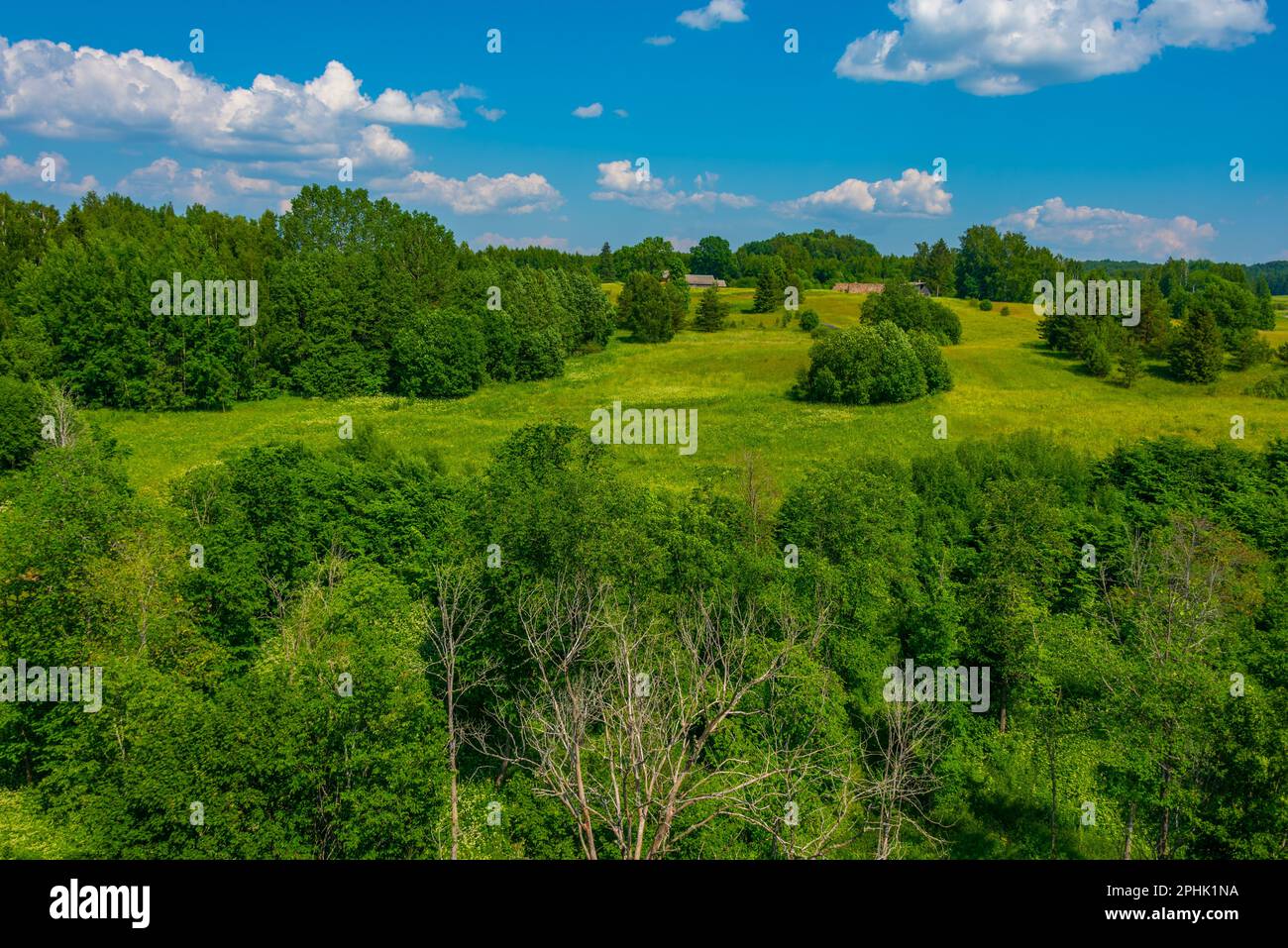 Panorama view of Setomaa region of Estonia Stock Photo - Alamy