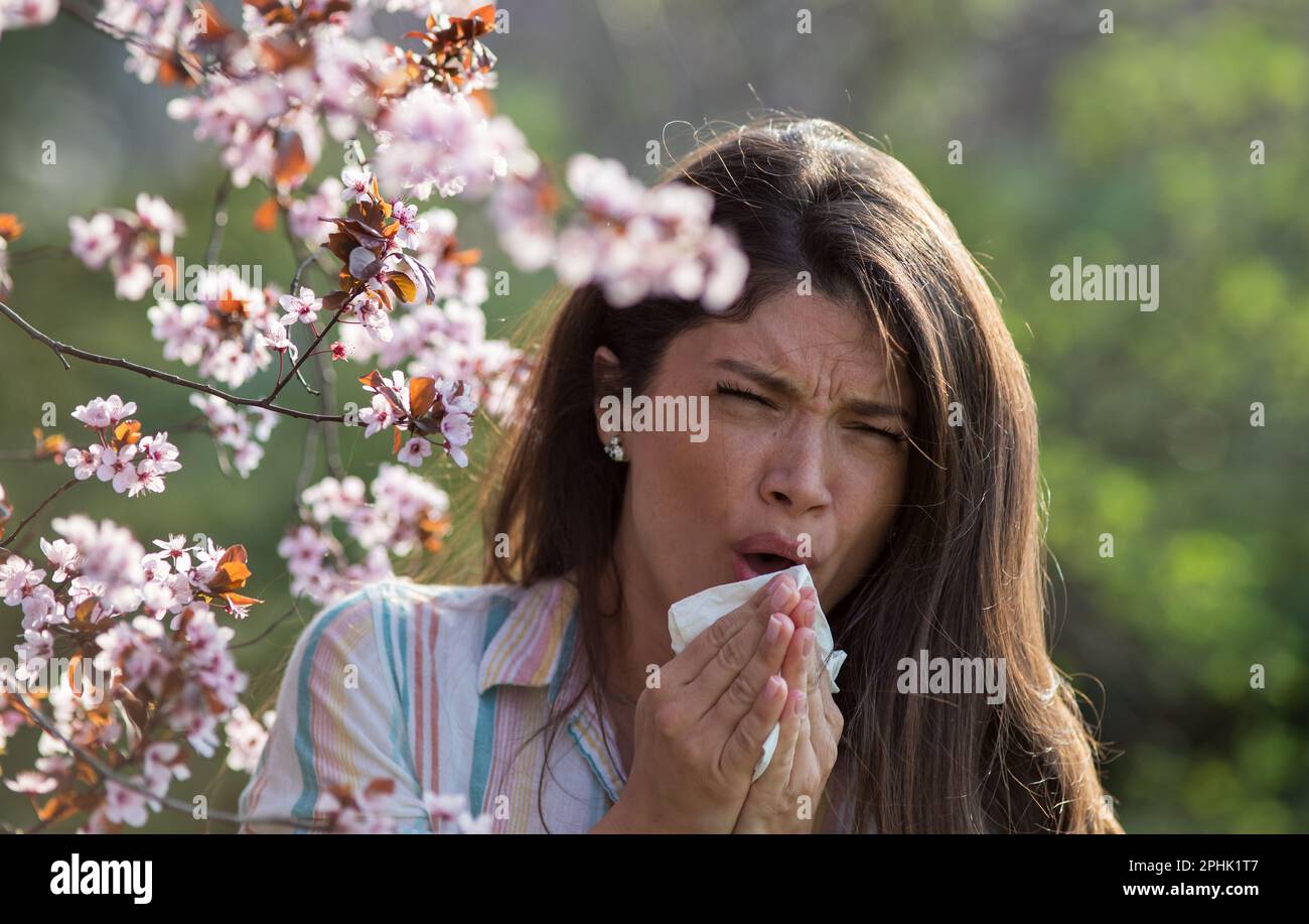 Pretty young woman sneezing and having allergy symptoms from blooming tree pollen in spring ...