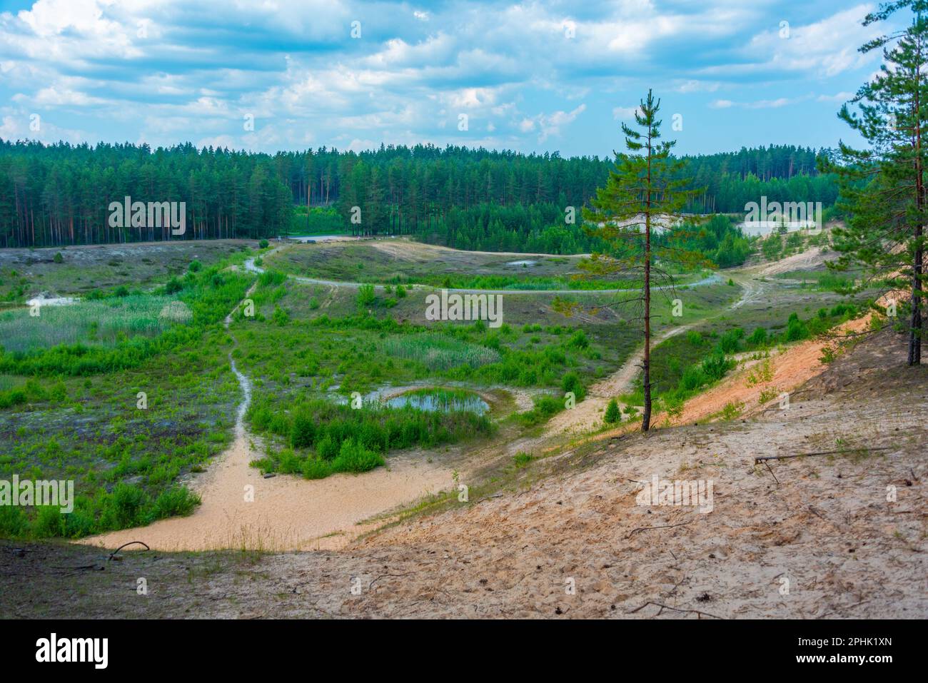 Natural landscape of Piusa caves in Estonia Stock Photo - Alamy