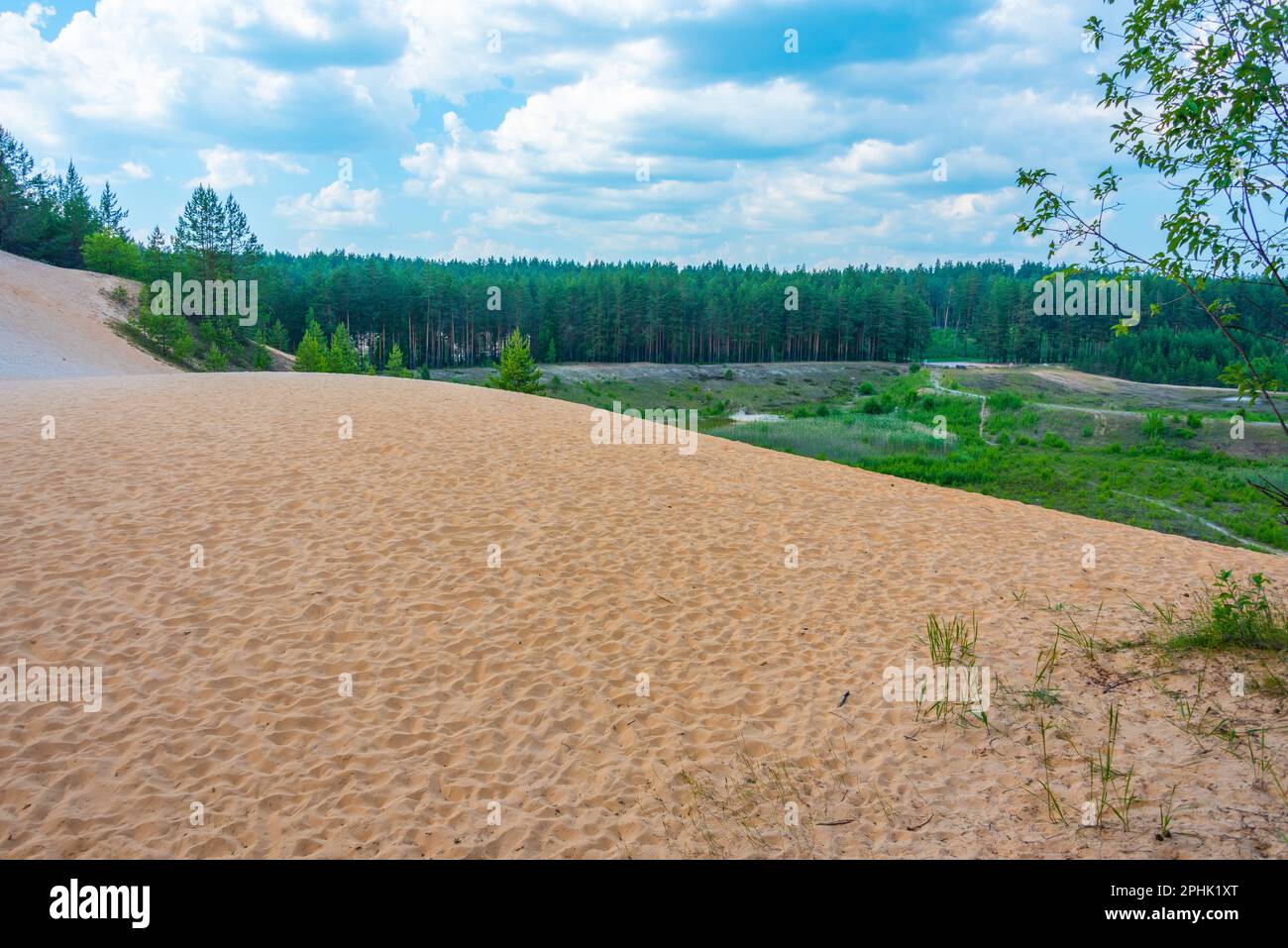 Natural landscape of Piusa caves in Estonia Stock Photo - Alamy