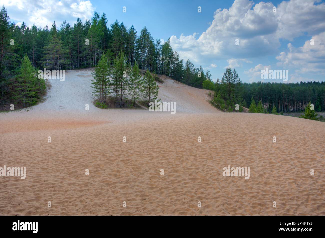 Natural landscape of Piusa caves in Estonia Stock Photo - Alamy