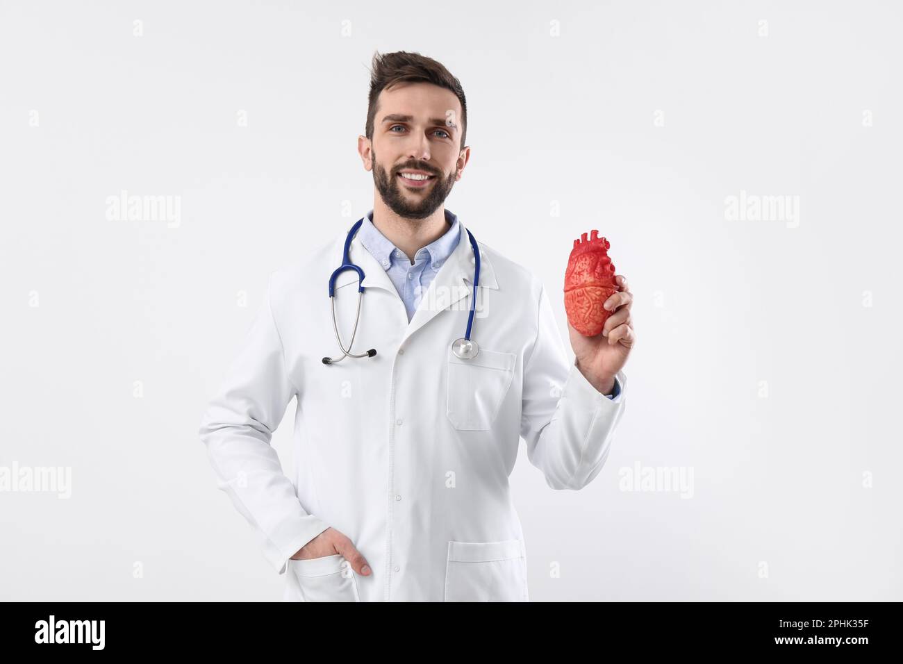 Doctor with stethoscope and model of heart on white background ...