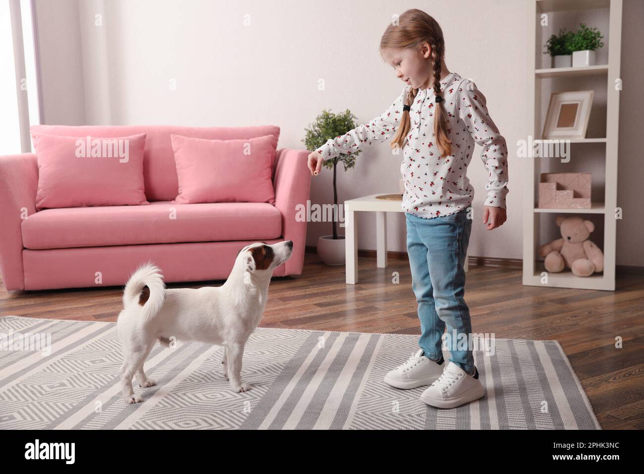 Cute little girl feeding her dog at home. Childhood pet Stock Photo - Alamy