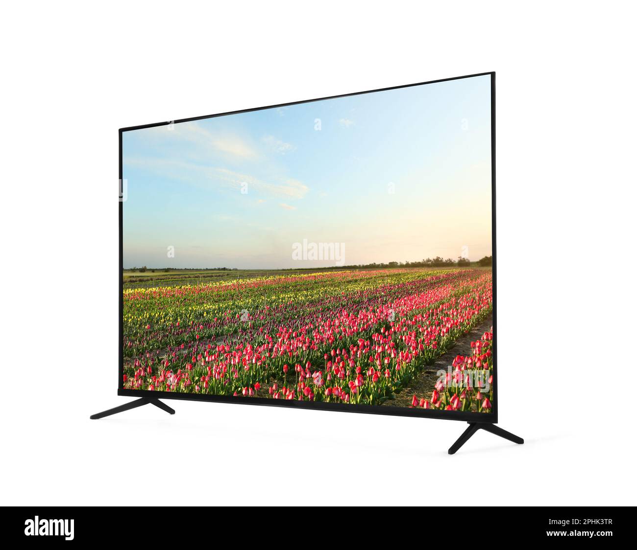 Modern wide screen TV monitor showing field with beautiful tulips ...