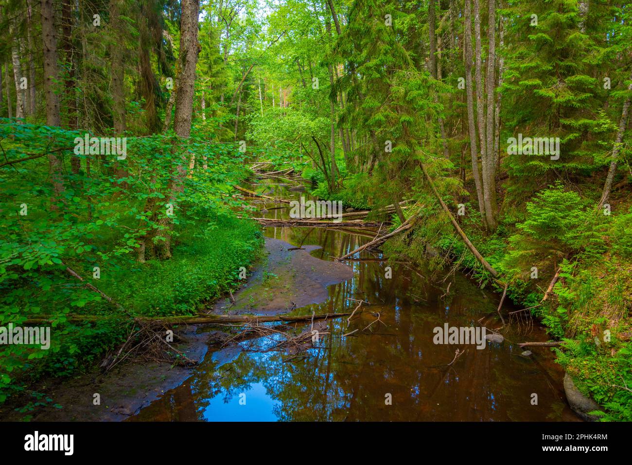 Estonian nature trail hi-res stock photography and images - Alamy