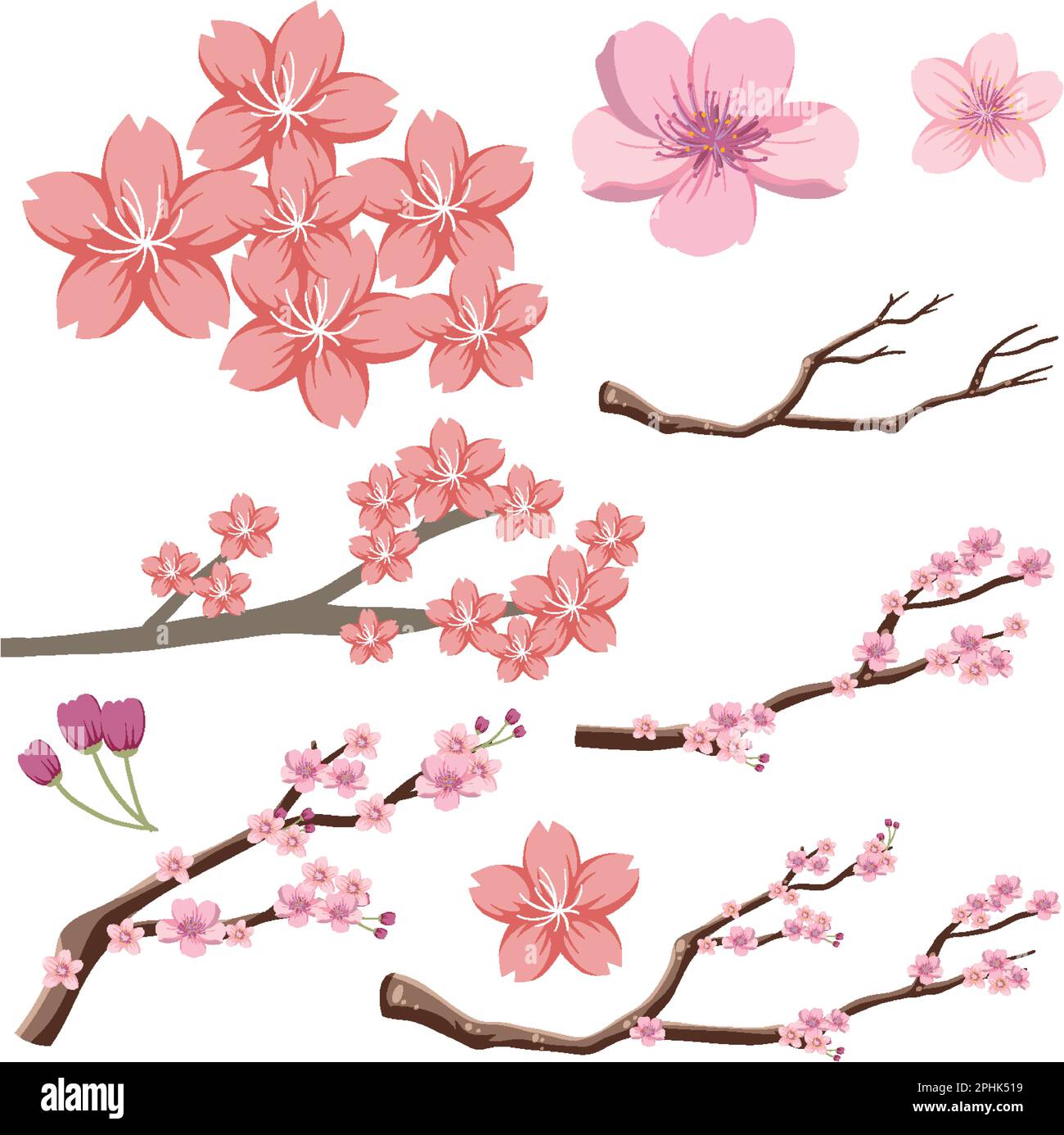 Set of Japanese sakura cherry blossom illustration Stock Vector Image ...