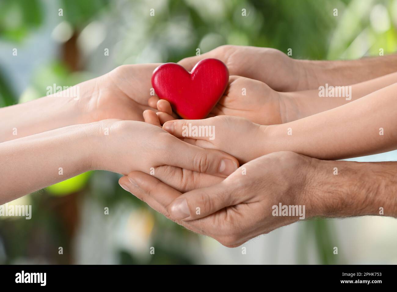 Parents and kid holding red heart in hands on blurred green background ...