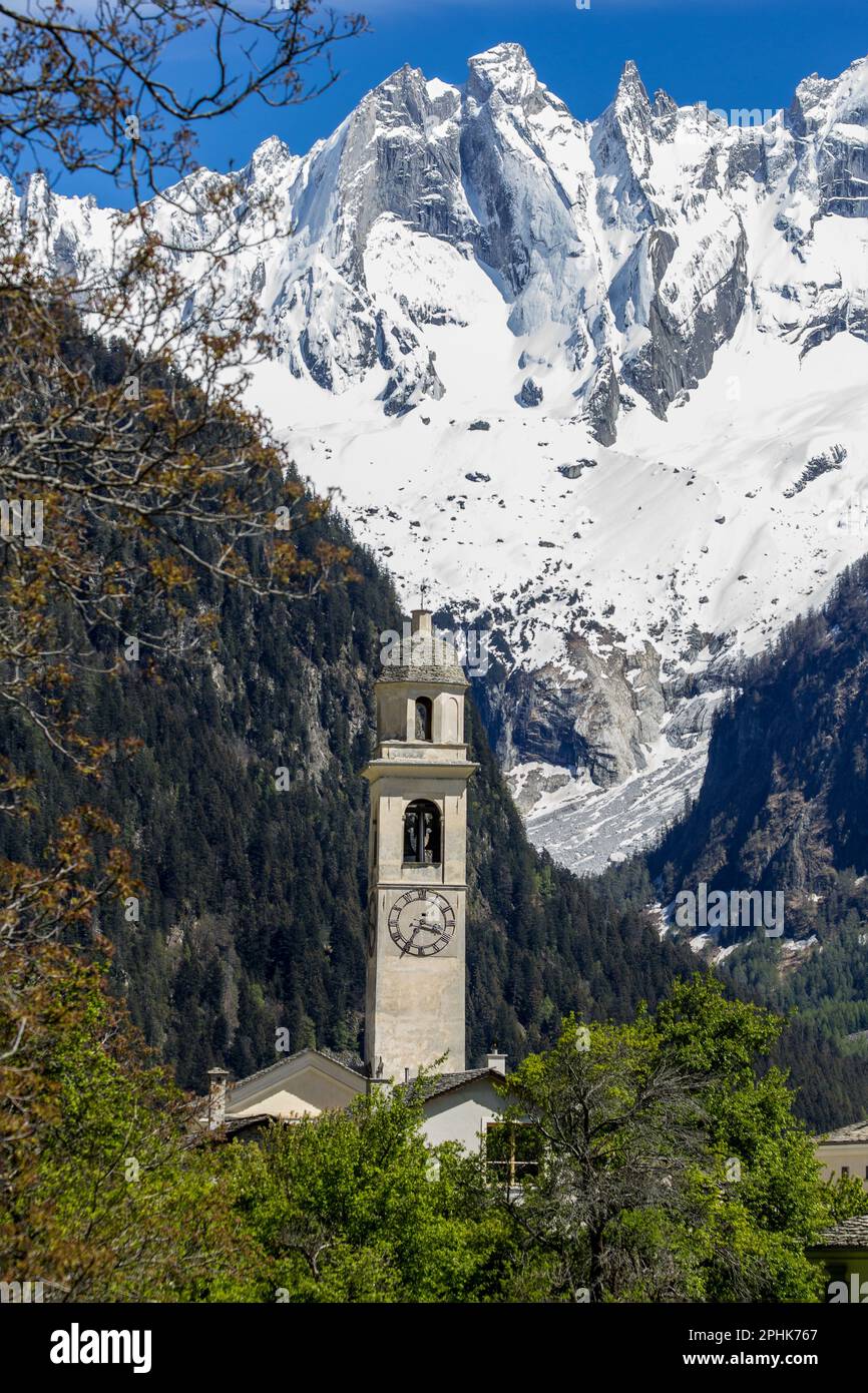 The reformed church tower and the mountain range Sciora in the mountain ...