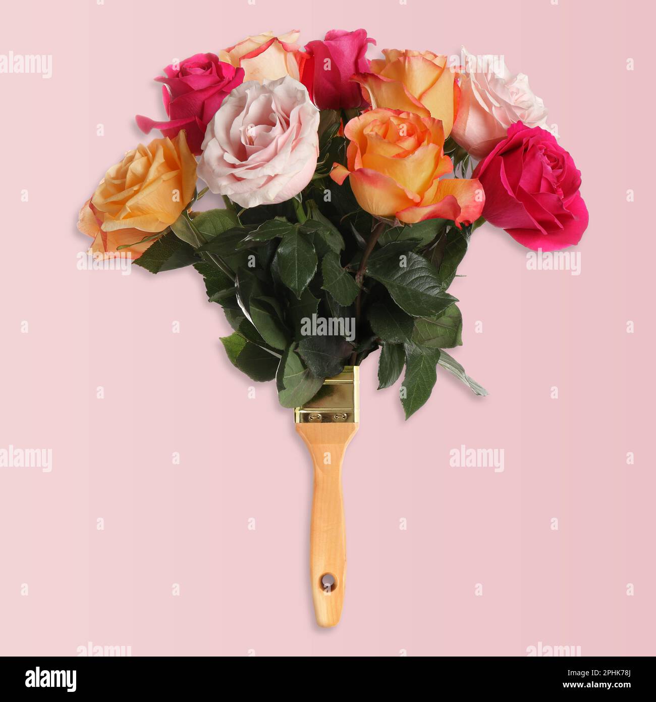 Creative design with paint brush and beautiful roses on pink background ...