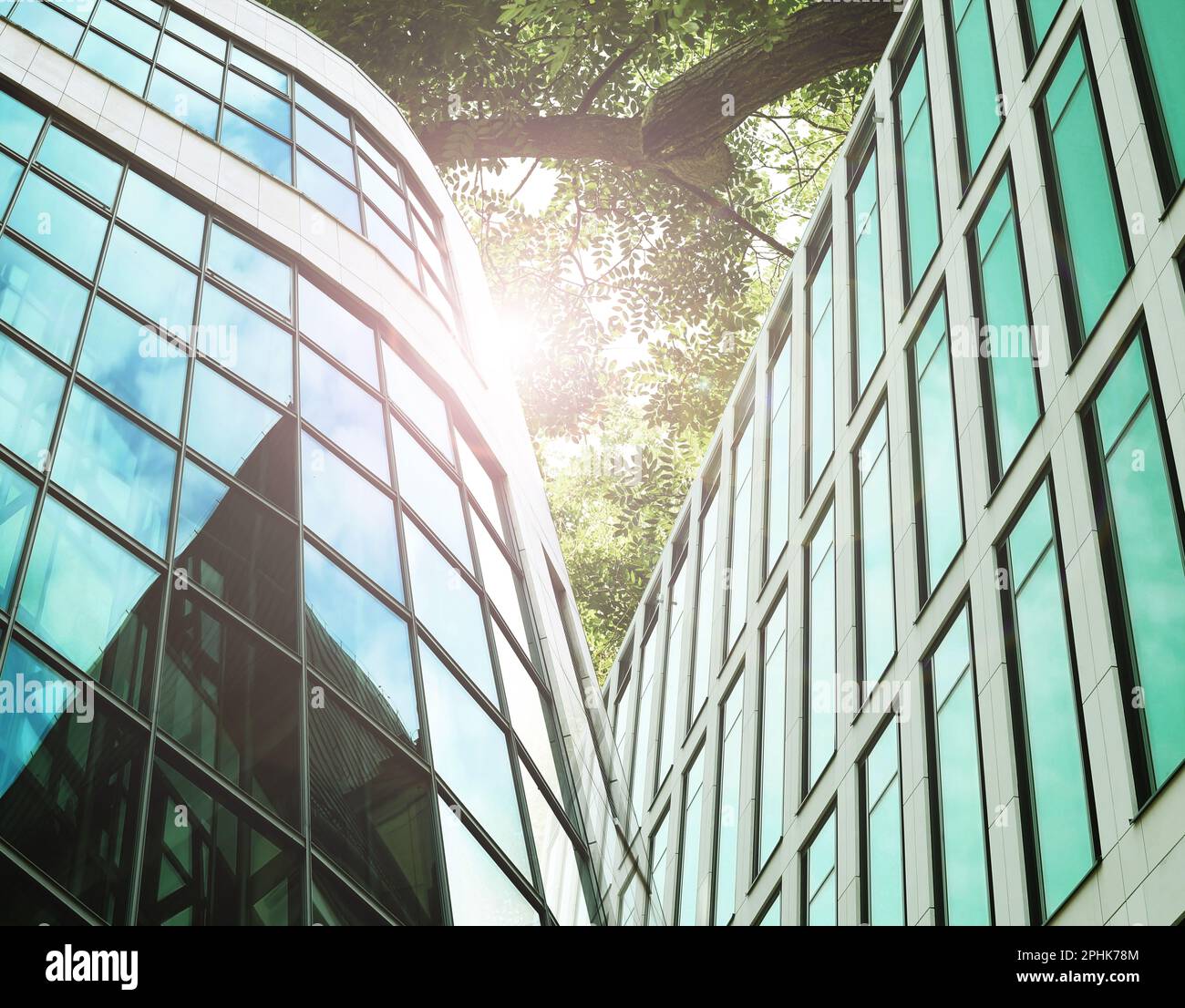 Go green concept low hi-res stock photography and images - Alamy
