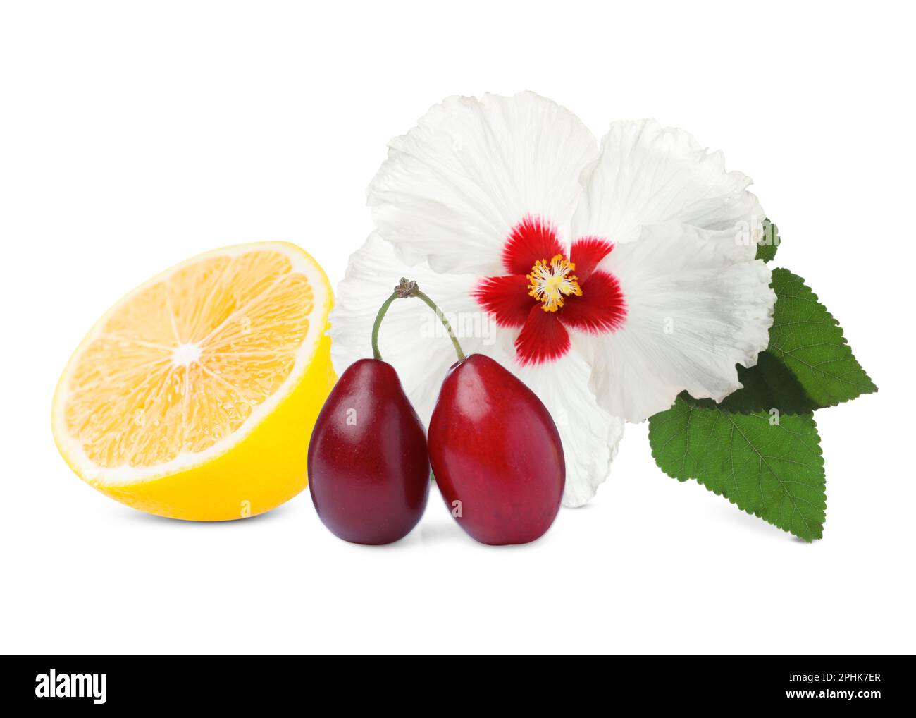 Beautiful hibiscus flower, juicy ripe lemon and ripe dogwood berries on ...