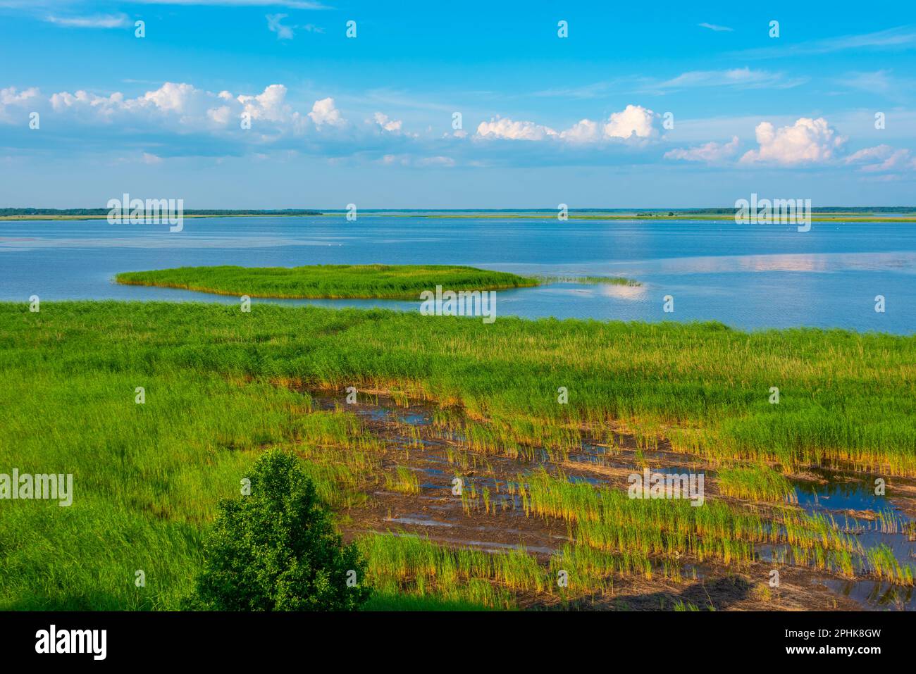 Estonia haapsalu beach hi-res stock photography and images - Alamy