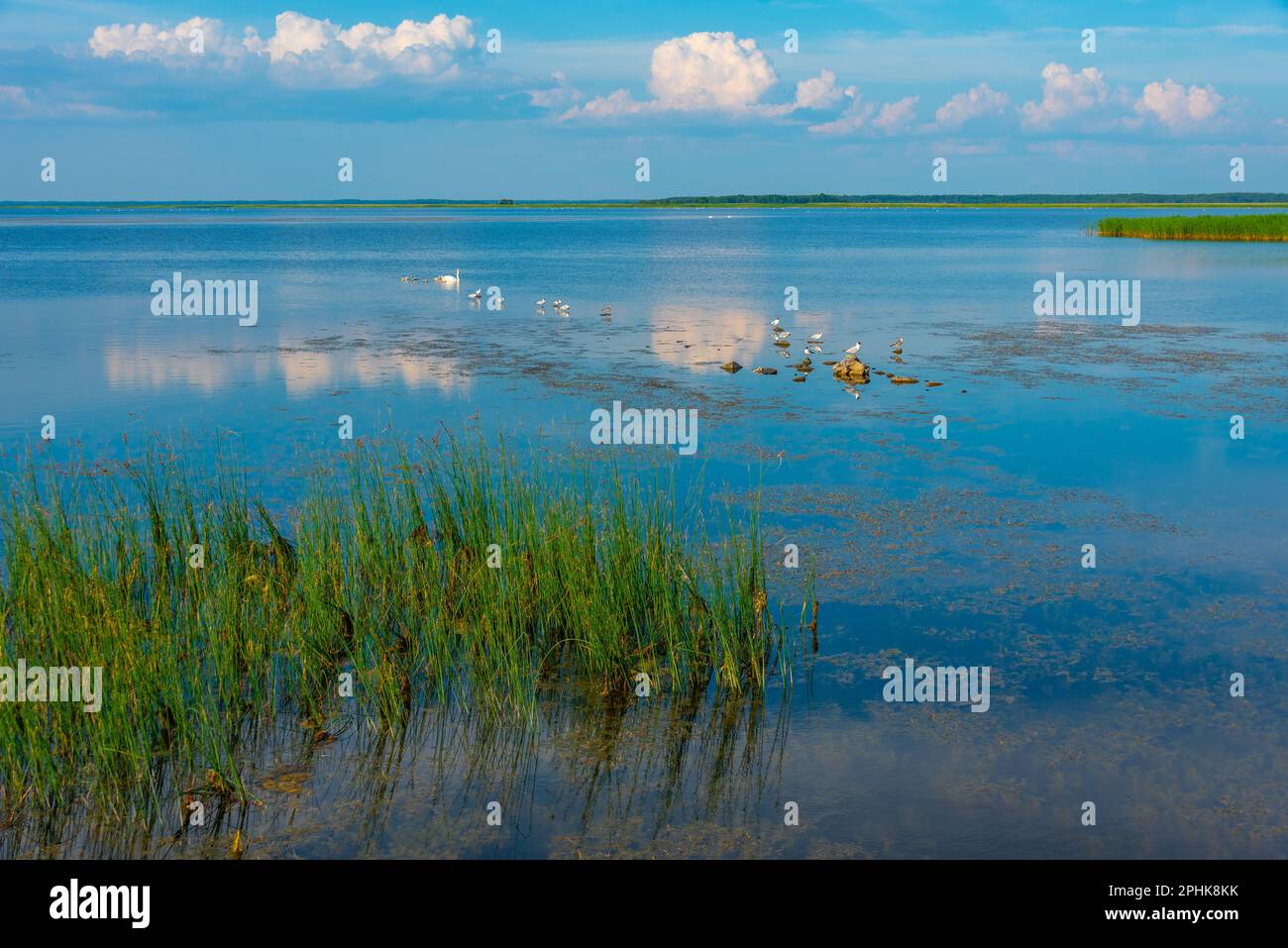 Estonia haapsalu beach hi-res stock photography and images - Alamy