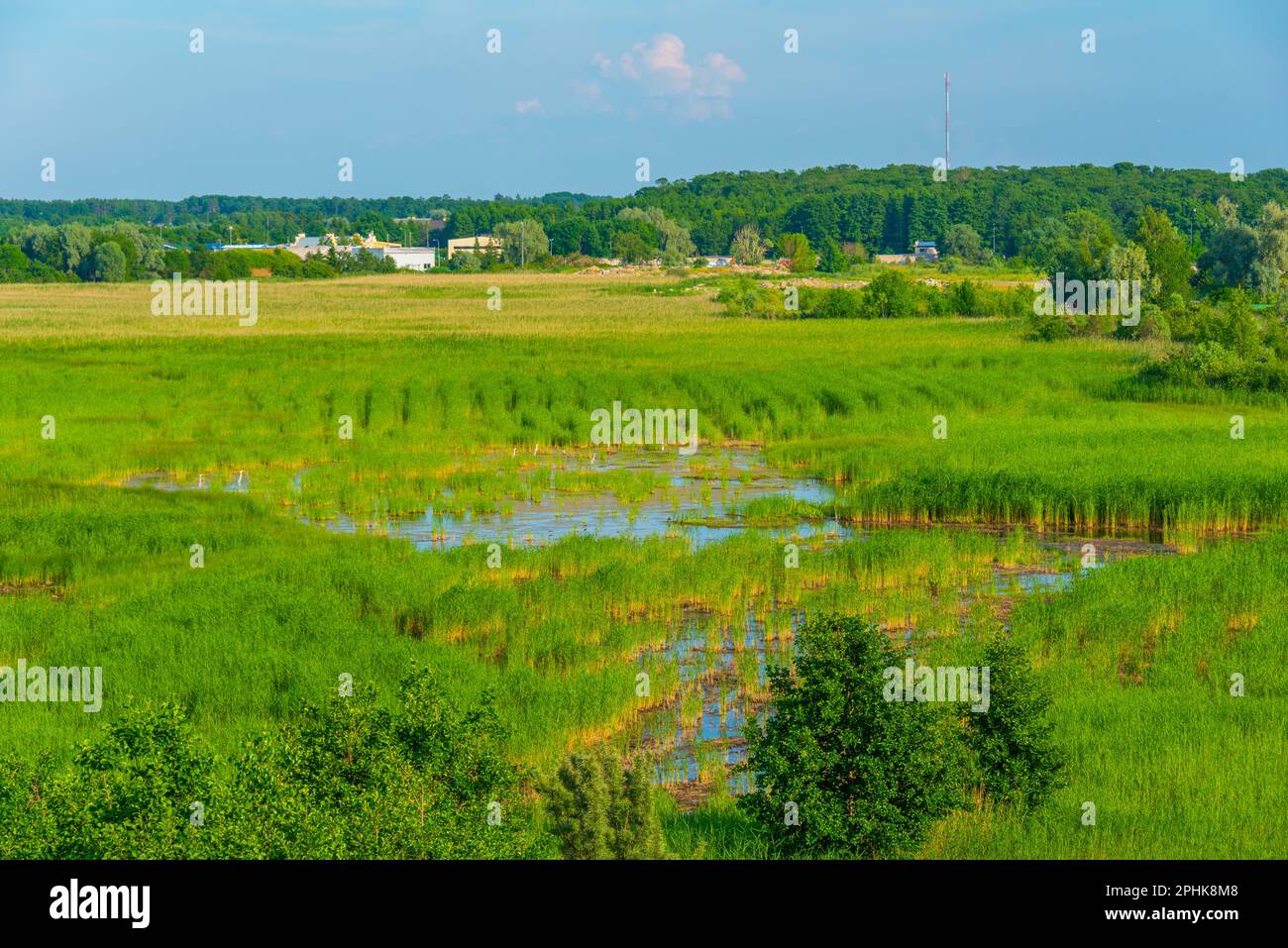 Estonia haapsalu beach hi-res stock photography and images - Alamy