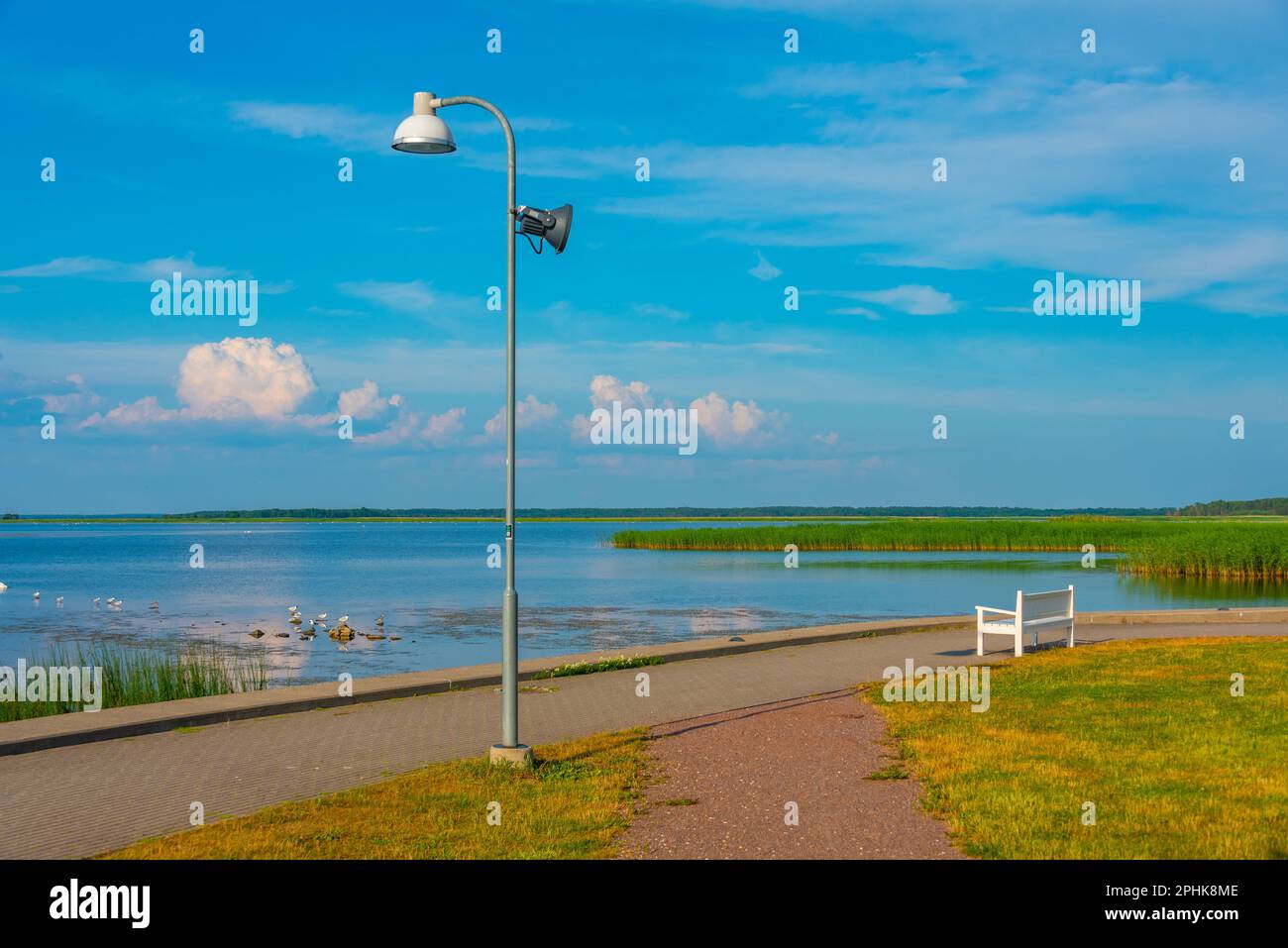 Seaside promenade vegetation park hi-res stock photography and images ...