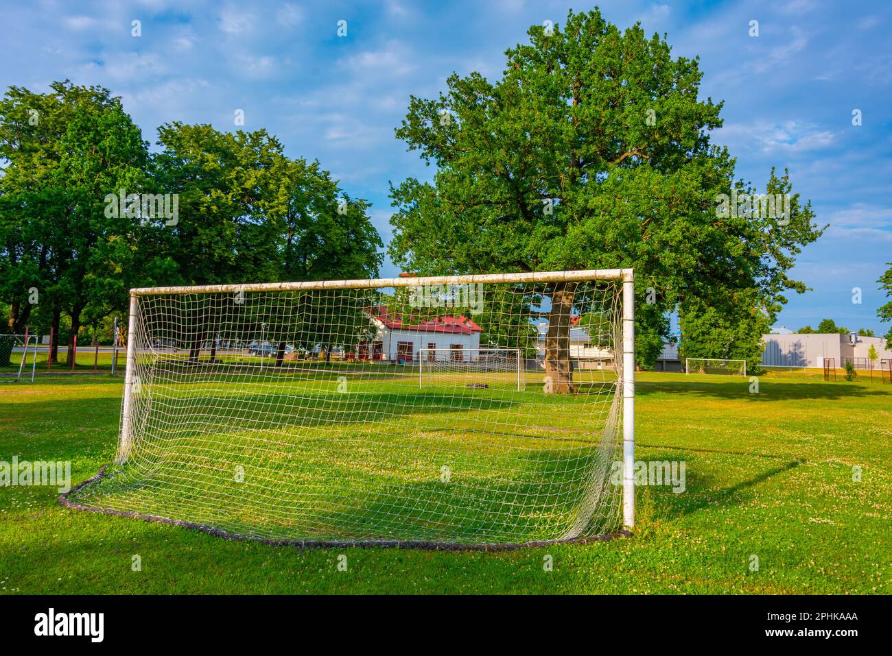 Tree growing up in the center of football stadium at Orissaare in ...