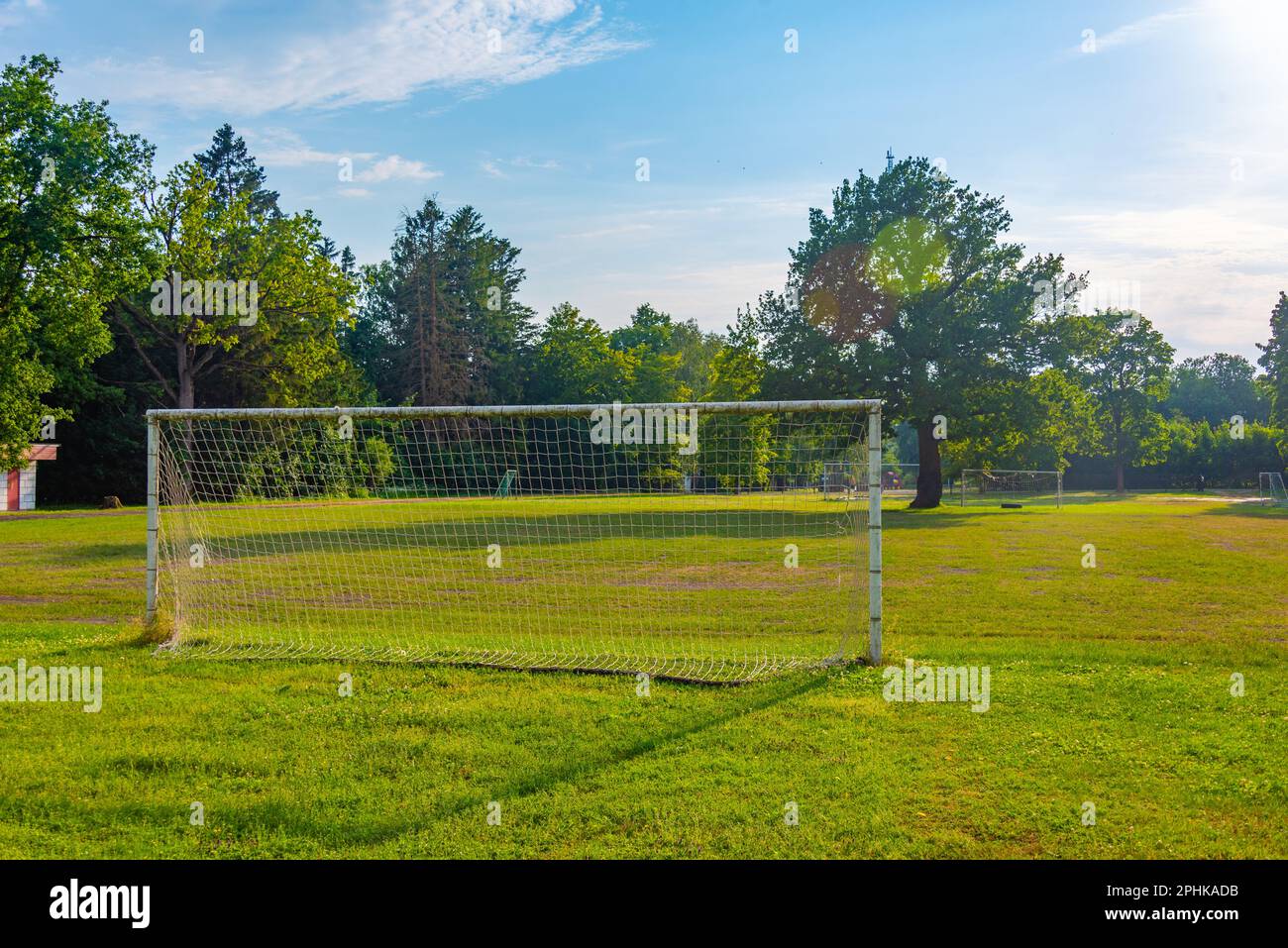 Tree growing up in the center of football stadium at Orissaare in ...