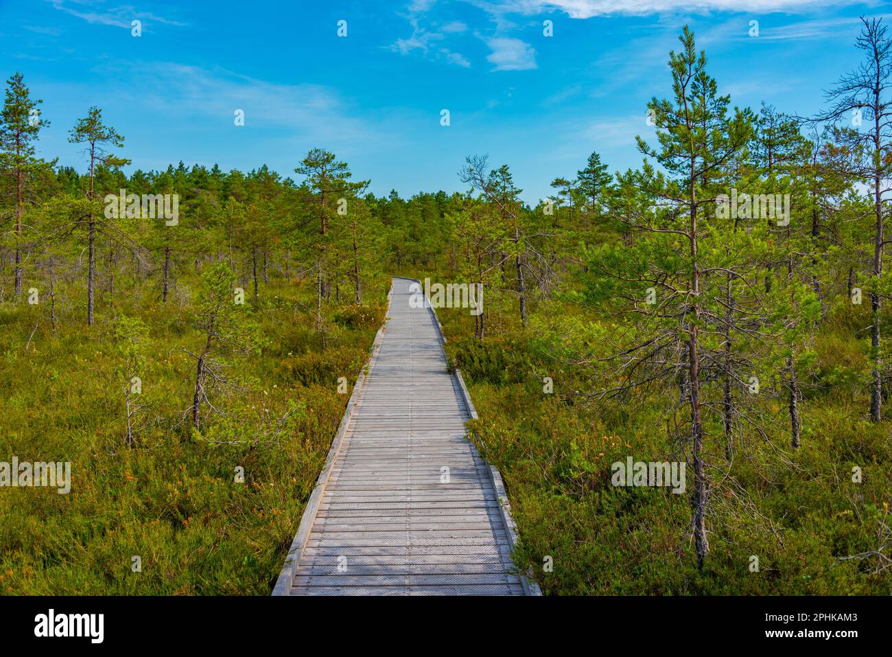 Landscape of Soomaa national park in Estonia Stock Photo - Alamy