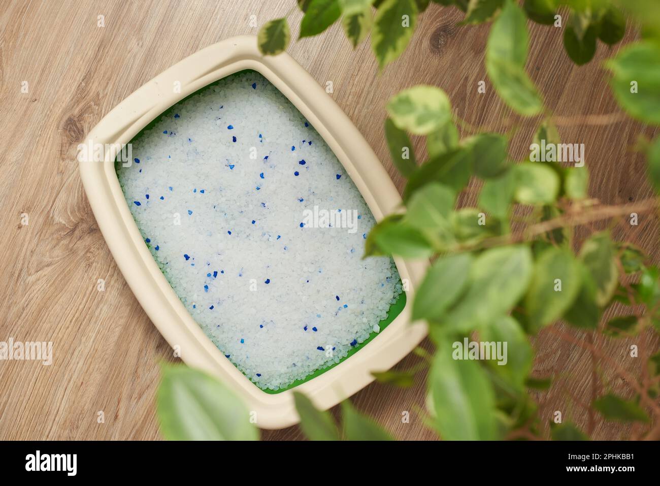 Cat litter box silica hi-res stock photography and images - Alamy