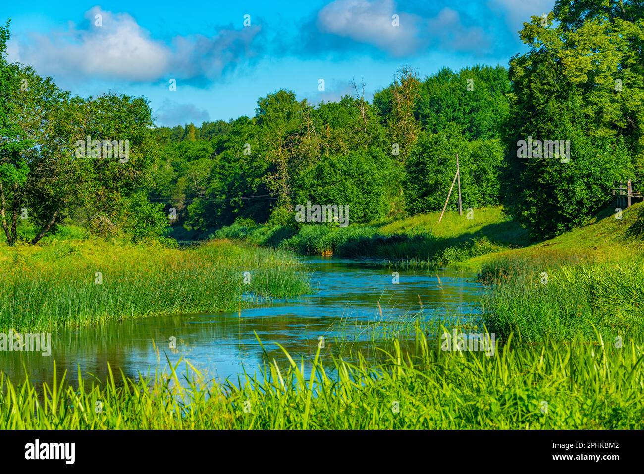 View of Abava river in Latvia Stock Photo - Alamy