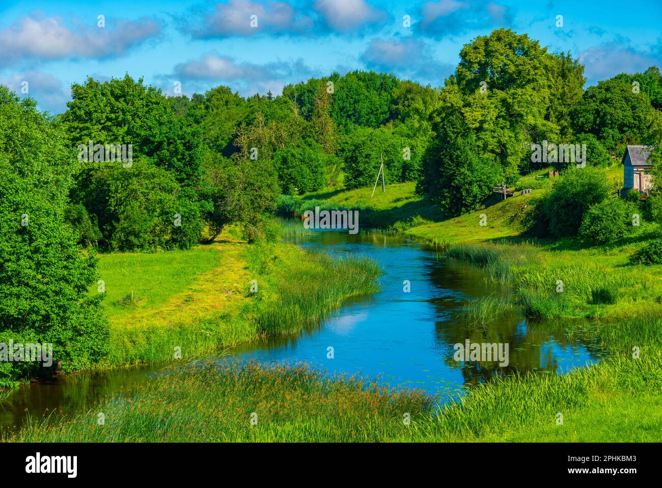 View of Abava river in Latvia Stock Photo - Alamy