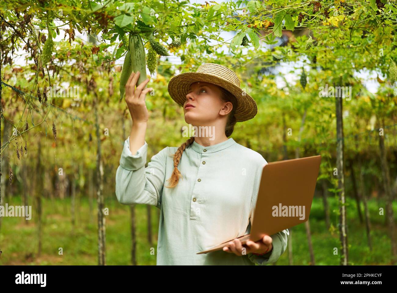 Female agronomist with laptop examines vegetable harvest on farm. Young ...