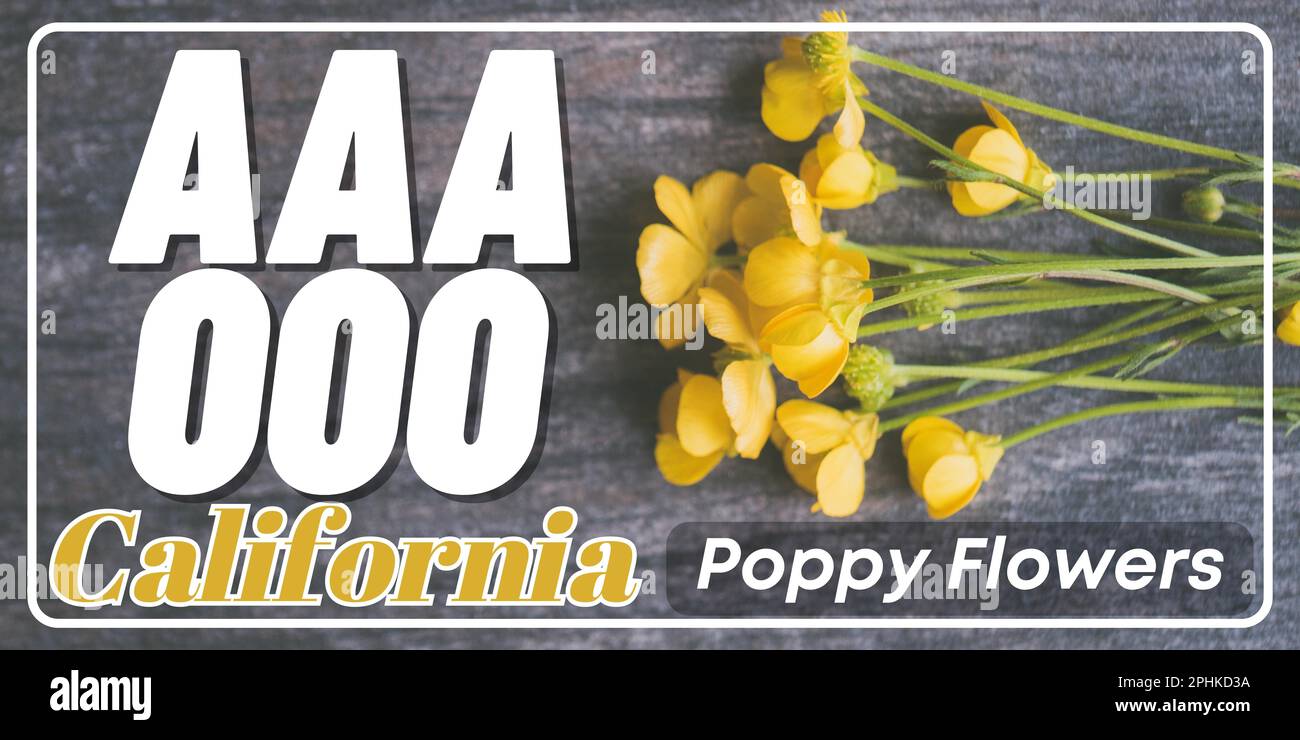 Vehicle license plates marking in California in United States of ...