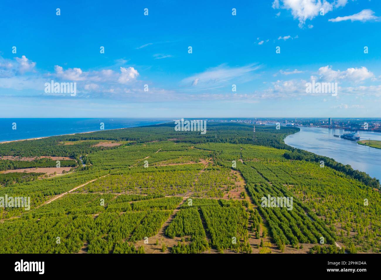 Panorama view of Curonian spit peninsula in Lithuania Stock Photo - Alamy