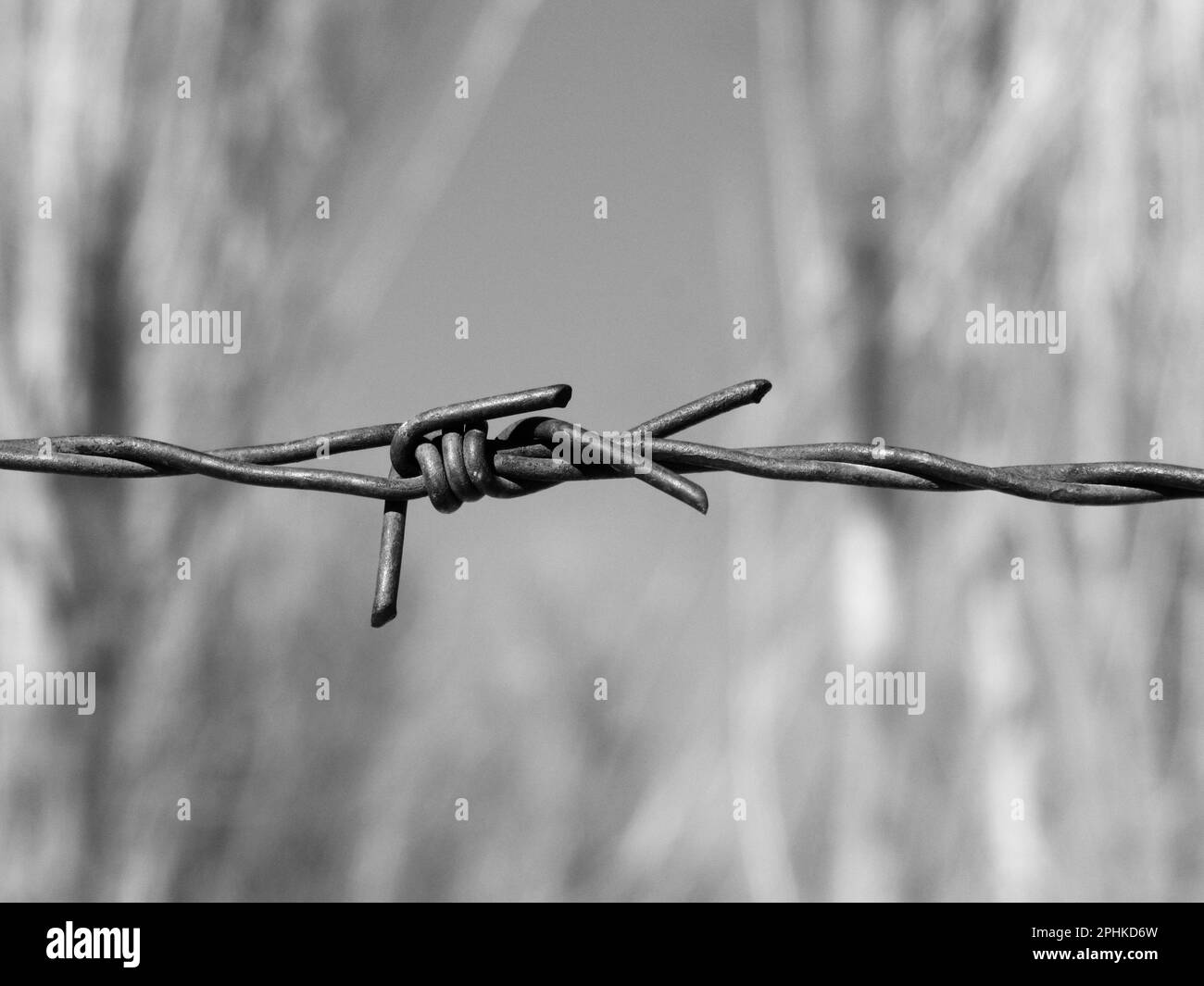 A grayscale of a metal spiky bar on blurred background outdoors Stock ...