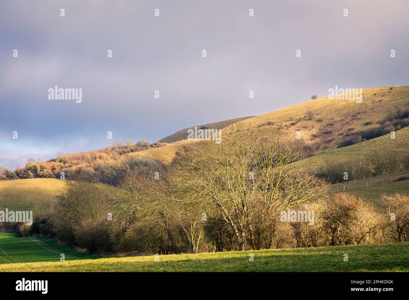 View of Ditchling beacon at the foot of the south downs west Sussex ...