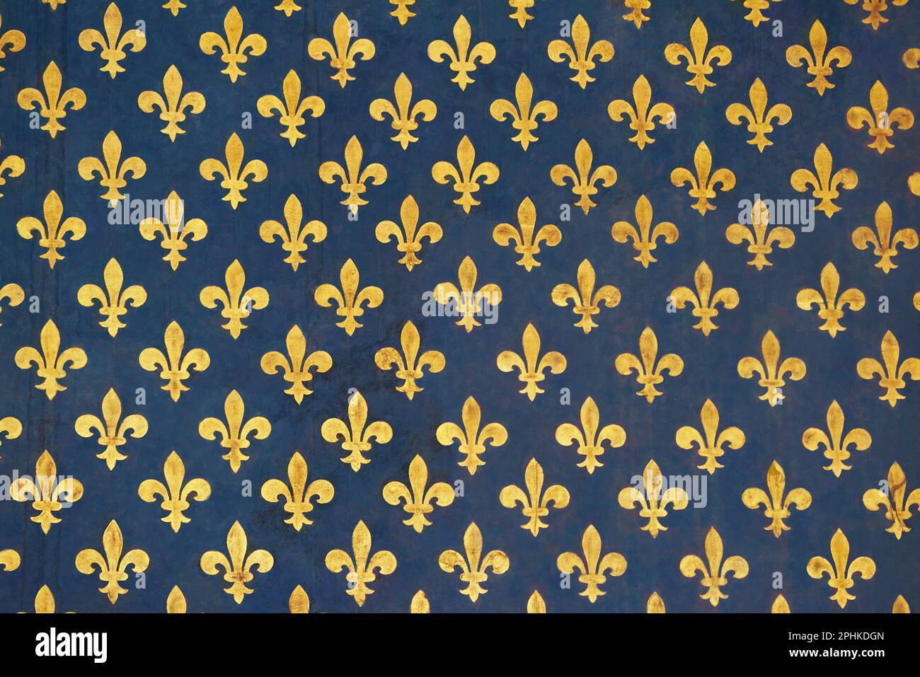 Royal lily pattern background decor in the Old Palace ( Palazzo Vecchio ...