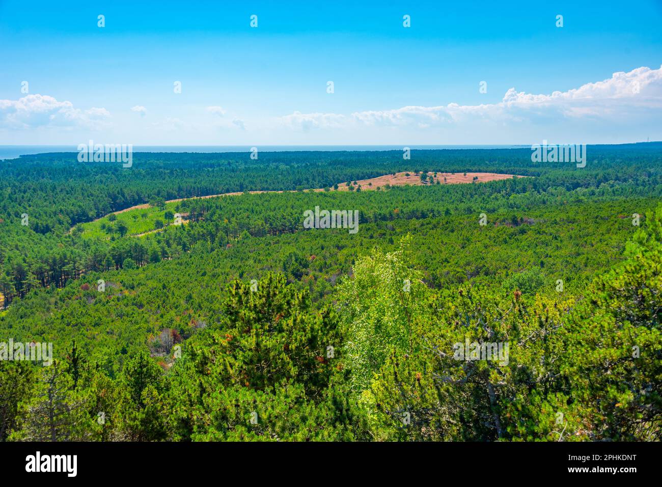 Panorama view of Curonian spit peninsula in Lithuania Stock Photo - Alamy