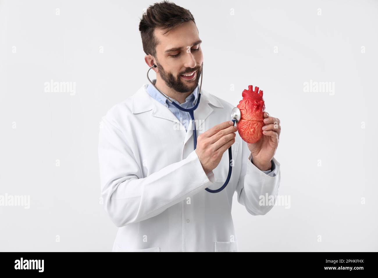 Doctor with stethoscope and model of heart on white background ...