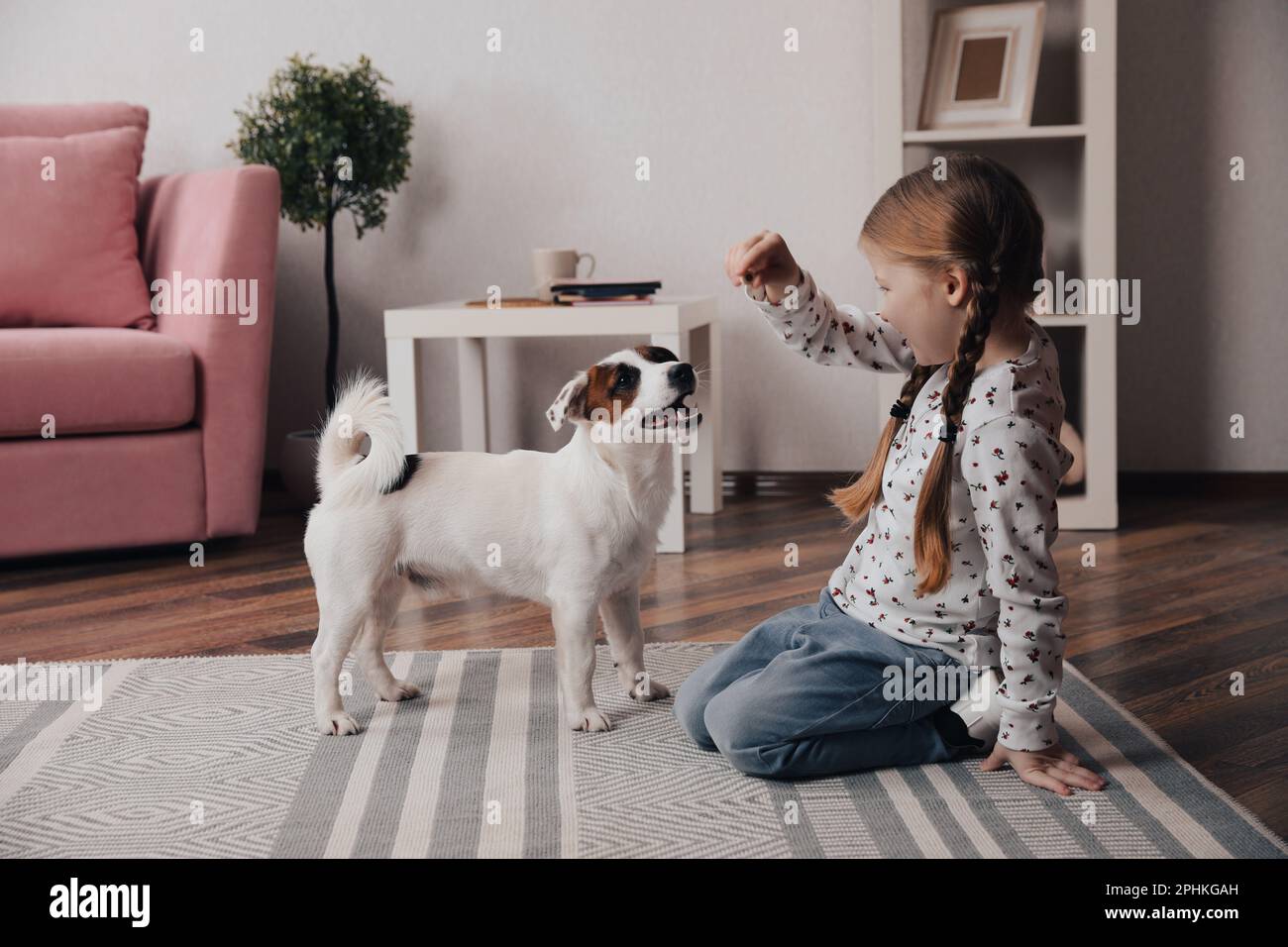 Cute little girl feeding her dog at home. Childhood pet Stock Photo - Alamy