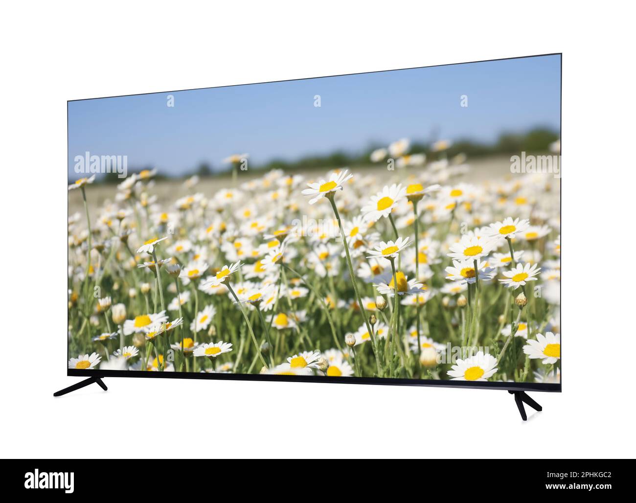Modern wide screen TV monitor showing beautiful chamomile flowers in ...