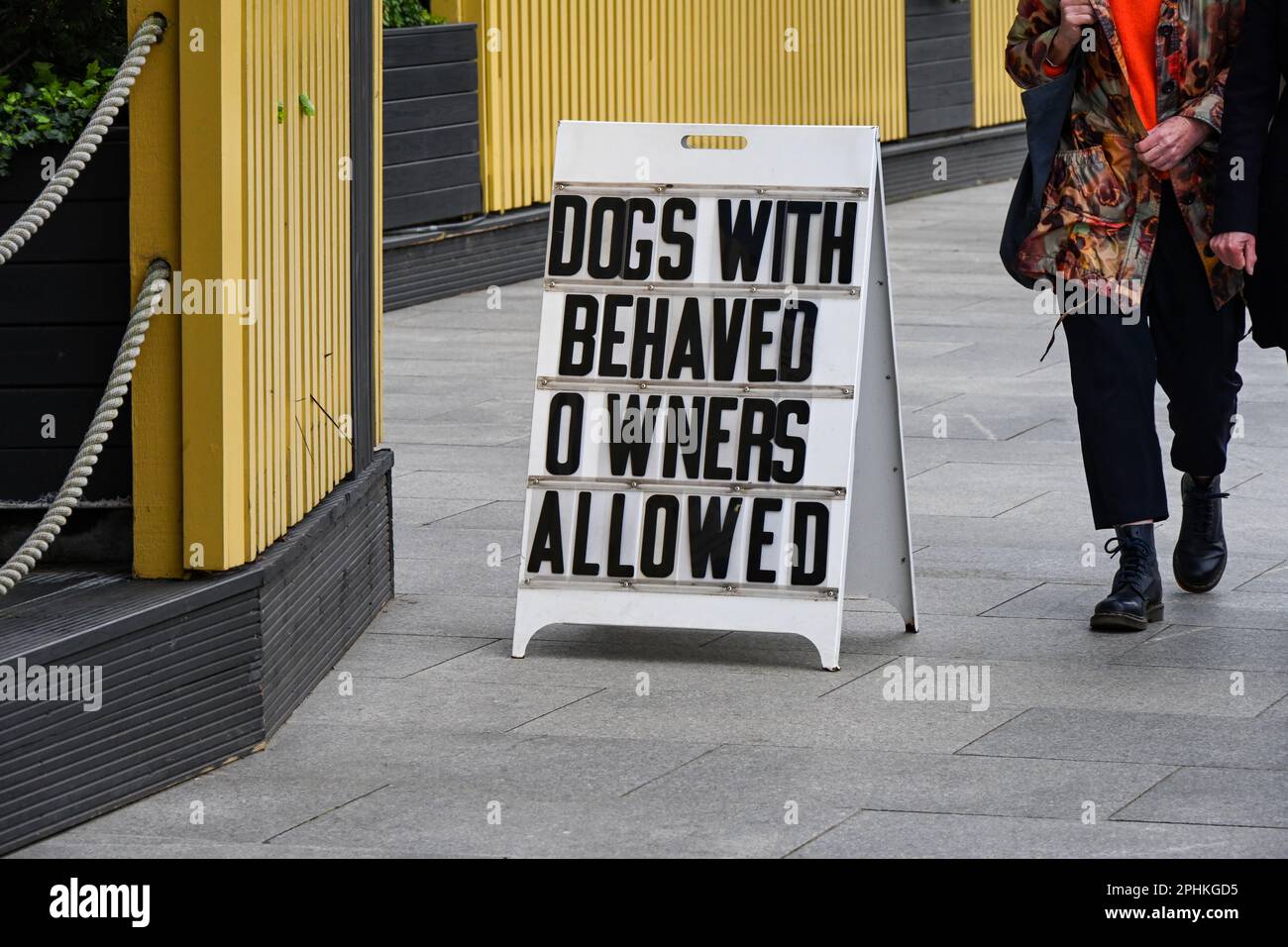 Dogs with behaved owners allowed hi-res stock photography and images ...