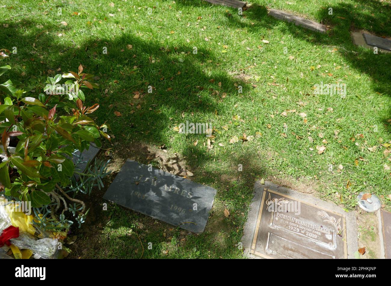 Los Angeles, California, USA 26th March 2023 Musician Frank Zappa's Unmarked Grave at Pierce ...