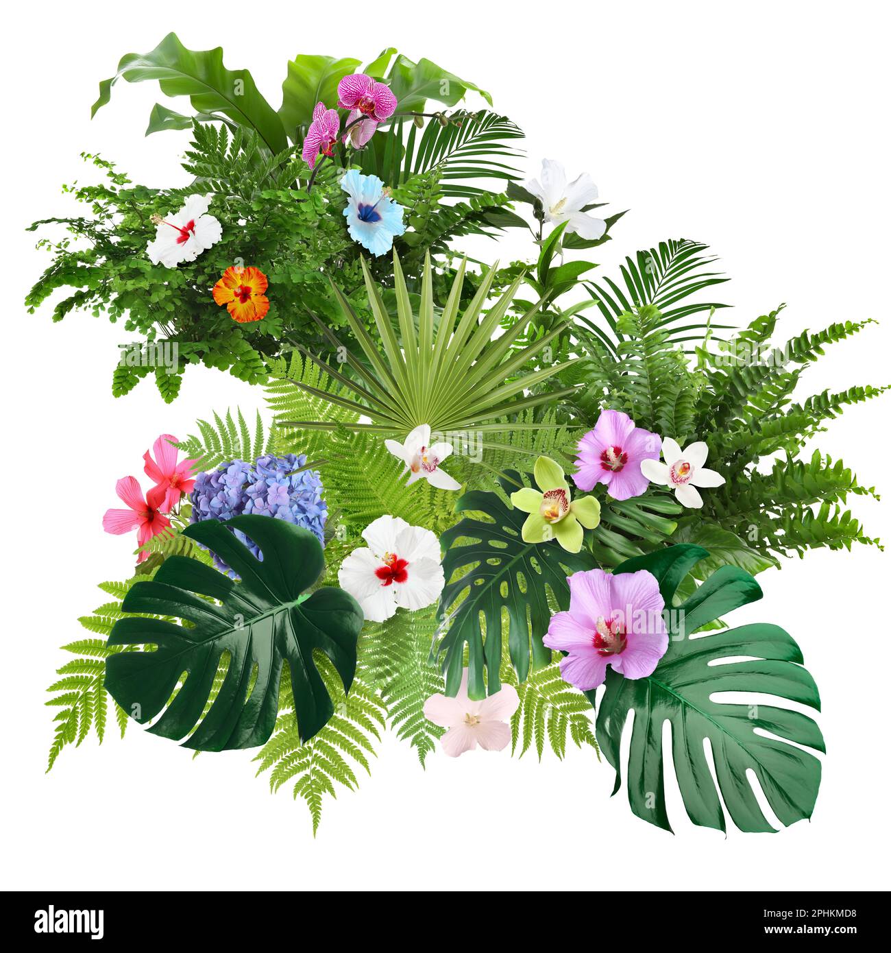 Beautiful composition with tropical leaves and flowers on white ...