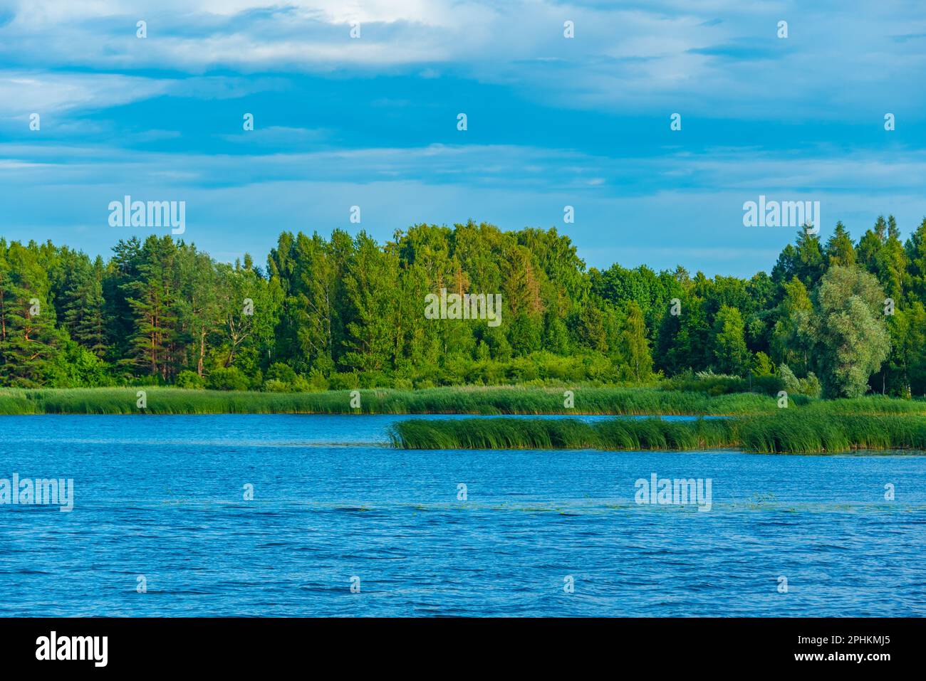 Natural landscape of Sirvenos lake in Birzai, Lithuania Stock Photo - Alamy