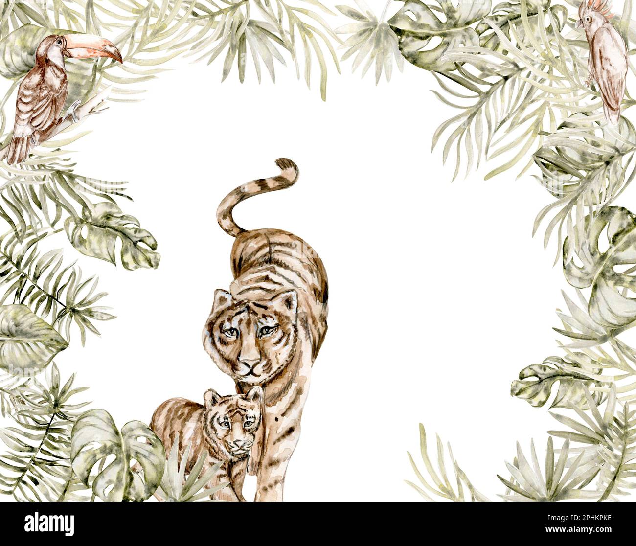 Watercolor hand drawn illustration from the jungle animals and a palm ...