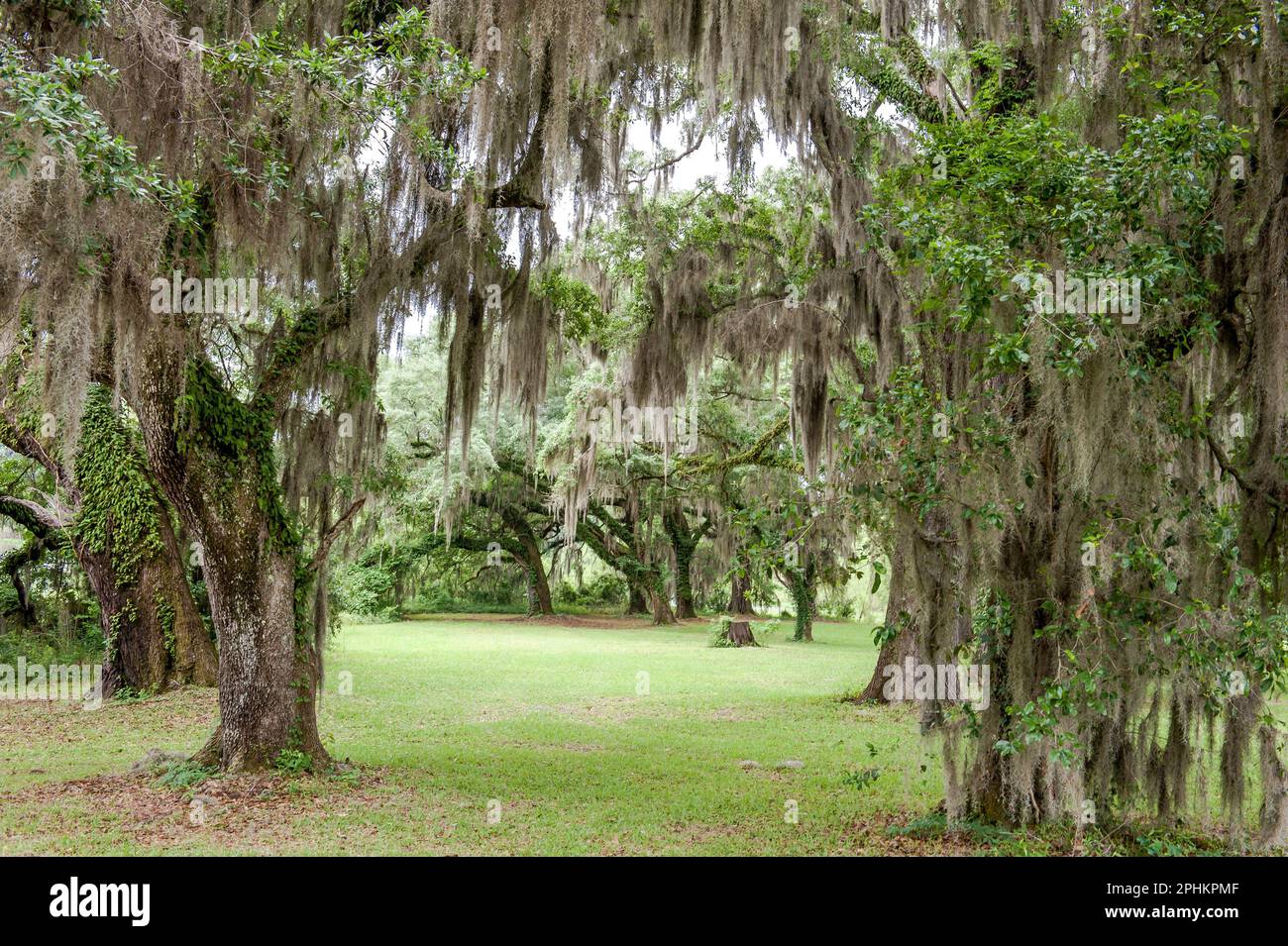 A scenic outdoor landscape featuring a lush green grass field ...