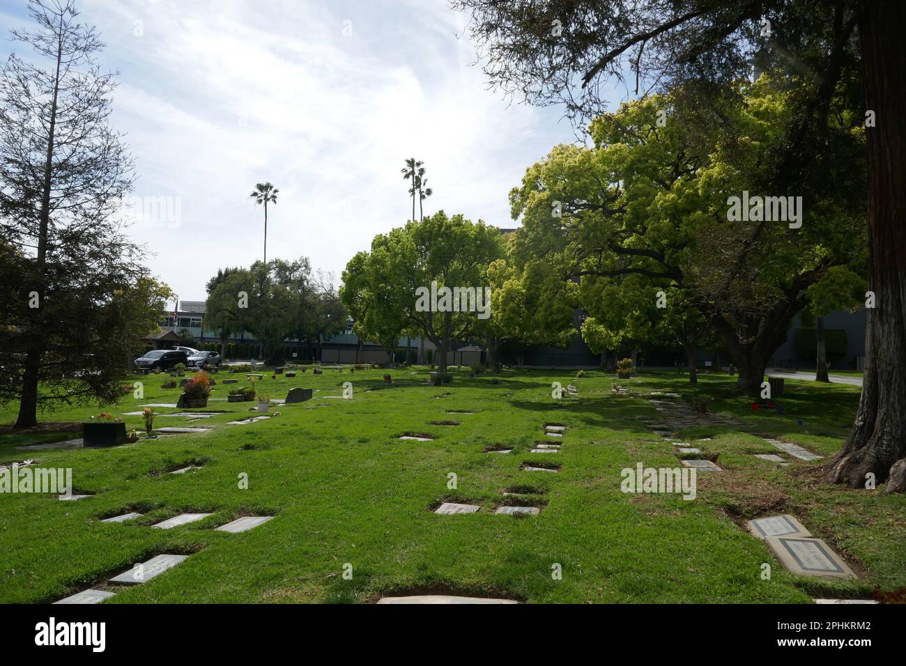 Pierce brothers westwood village memorial park cemetery hi-res stock ...