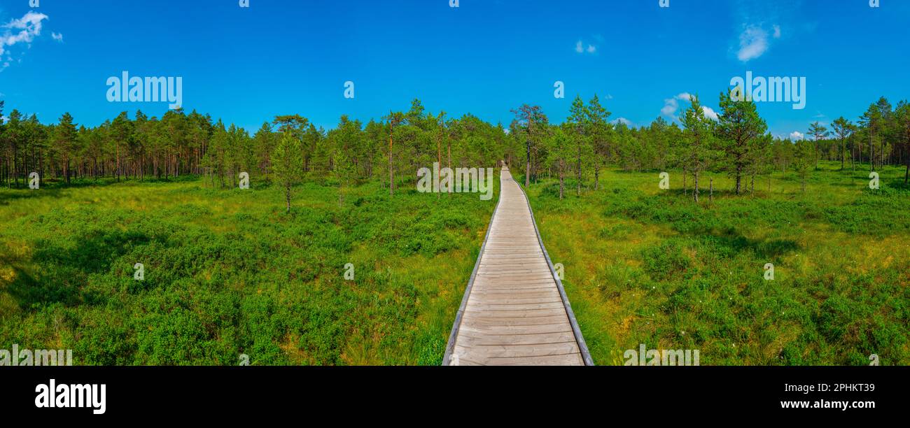 Viru bog trail hi-res stock photography and images - Alamy