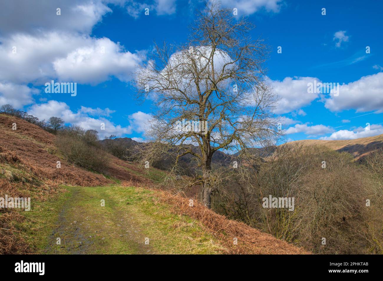 Footpath in Kentmere, Cumbria Stock Photo - Alamy