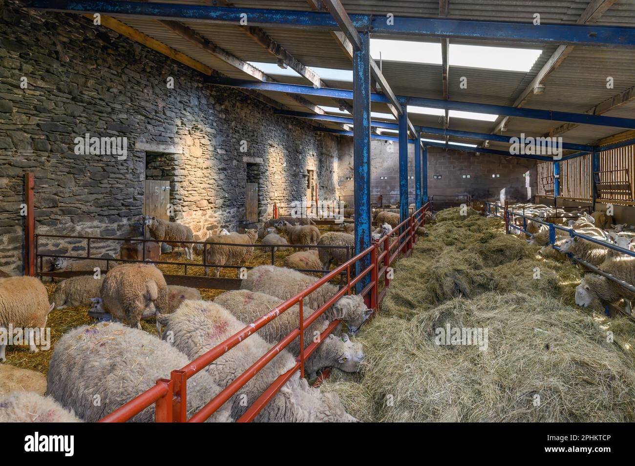 The Lambing Shed at Kentmere Hall in Cumbria Stock Photo - Alamy